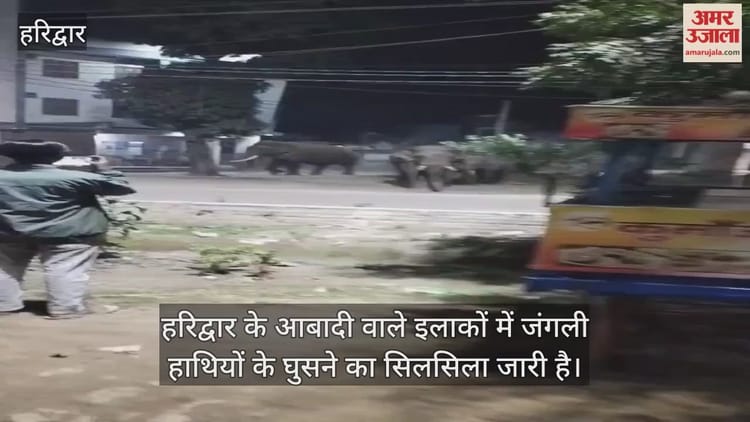 हरिद्वार में जंगली हाथियों उत्पात, कॉलोनी में घुसकर तोड़ी दीवार, खेतों ...