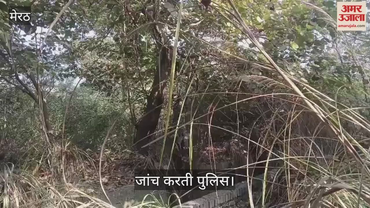 Meerut:परतापुर के गगोल रोड पर पेड़ से लटका मिला युवती का शव, हत्या की ...