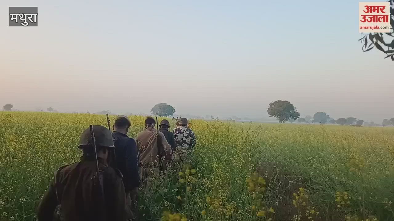 Video:मथुरा का गांव देवरस, जो बना साइबर अपराधियों का ठिकाना...पुलिस ने ...