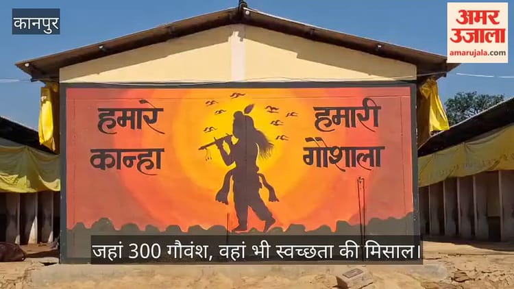 कानपुर:गौ आश्रय स्थल में 300 गौवंश के बीच अनुकरणीय सफाई, व्यवस्था देख ...