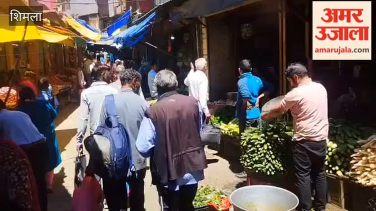 Video:शिमला सब्जी मंडी में टमाटर के दामों में उछाल - Video: Surge In ...