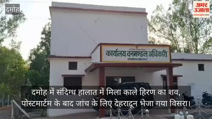 Damoh-blackbuck-death-case-viscera-sent-for-investigation-suspicion-of ...