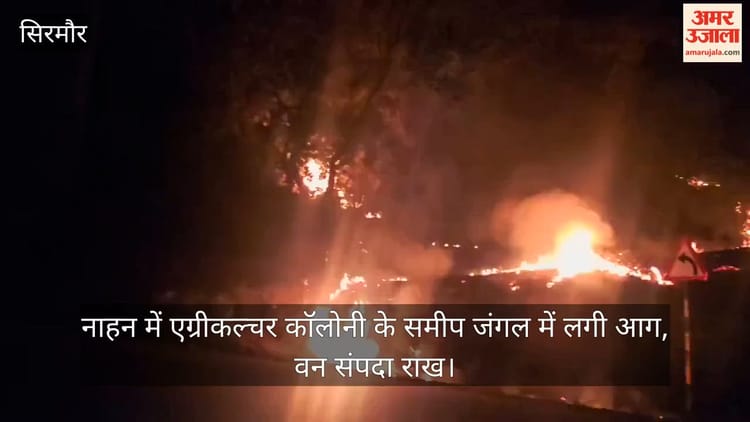 Video:नाहन में एग्रीकल्चर कॉलोनी के समीप जंगल में लगी आग, वन संपदा राख ...