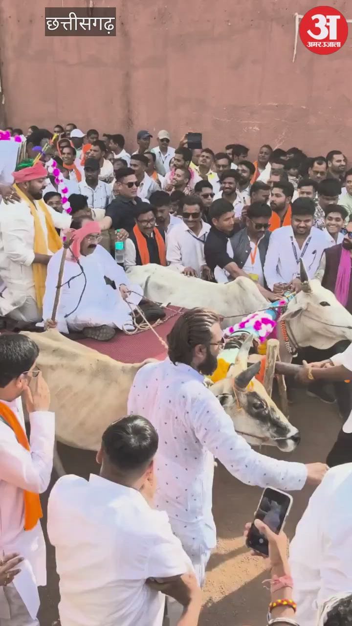 छत्तीसगढ़ के डिप्टी सीएम अरुण साव बने बीजेपी विधायक दूल्हे के सारथी ...