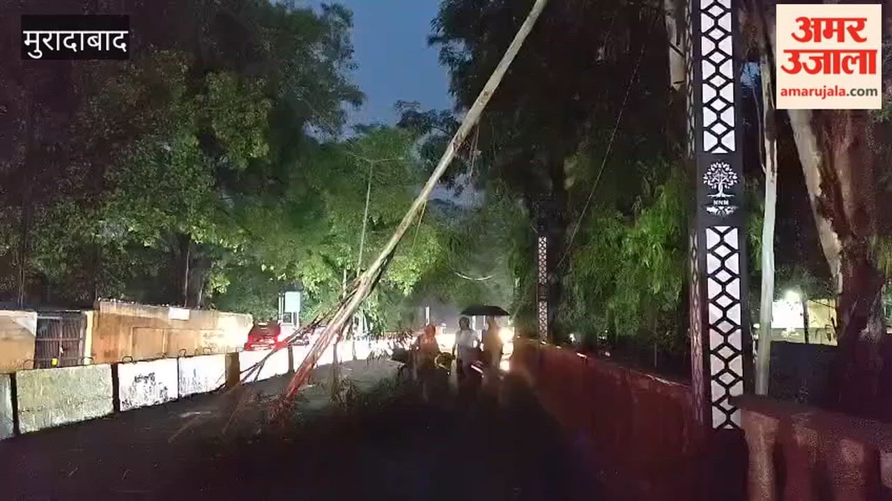 तेज आंधी-बारिश से महाराणा प्रताप चौक के पास गिरा पेड़ - Tree Falls Near ...
