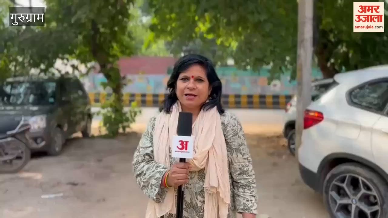 पर्यावरण दिवस को आइना दिखा रहे बदहाल ग्रीन बेल्ट, गुरुग्राम के कई ...