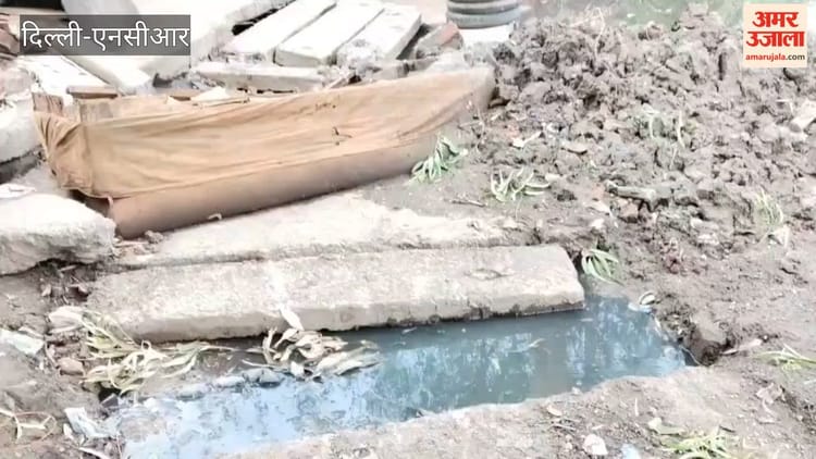 सिस्टम की लापरवाही:दिल्ली के शास्त्री पार्क में गाद और जलभराव से जनता ...