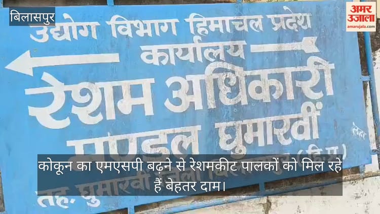 Video:कोकून का एमएसपी बढ़ने से रेशमकीट पालकों को मिल रहे हैं बेहतर दाम ...